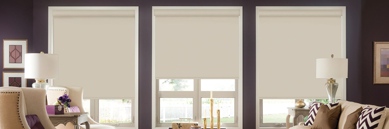 Why Families Enjoy Roller Shades In Their Minneapolis Homes | Sunburst ...